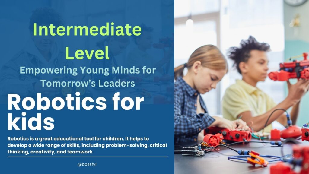 Robotics Intermediate Level – Bossfyl